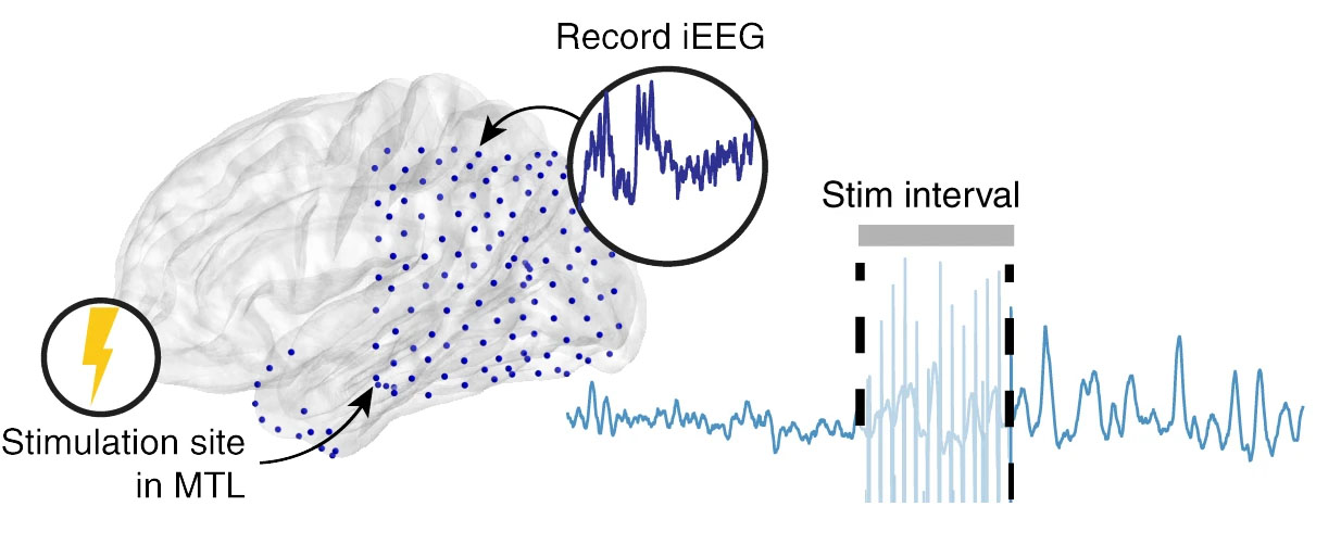 Modulation of Memory Circuits | James Kragel